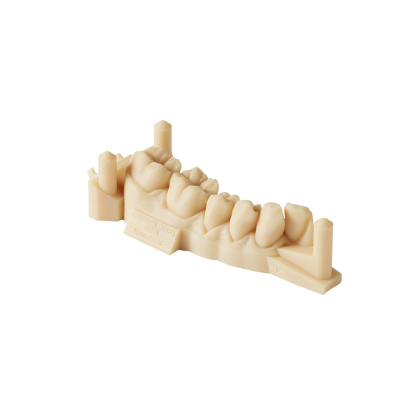 Precision Model Resin | Formlabs Dental